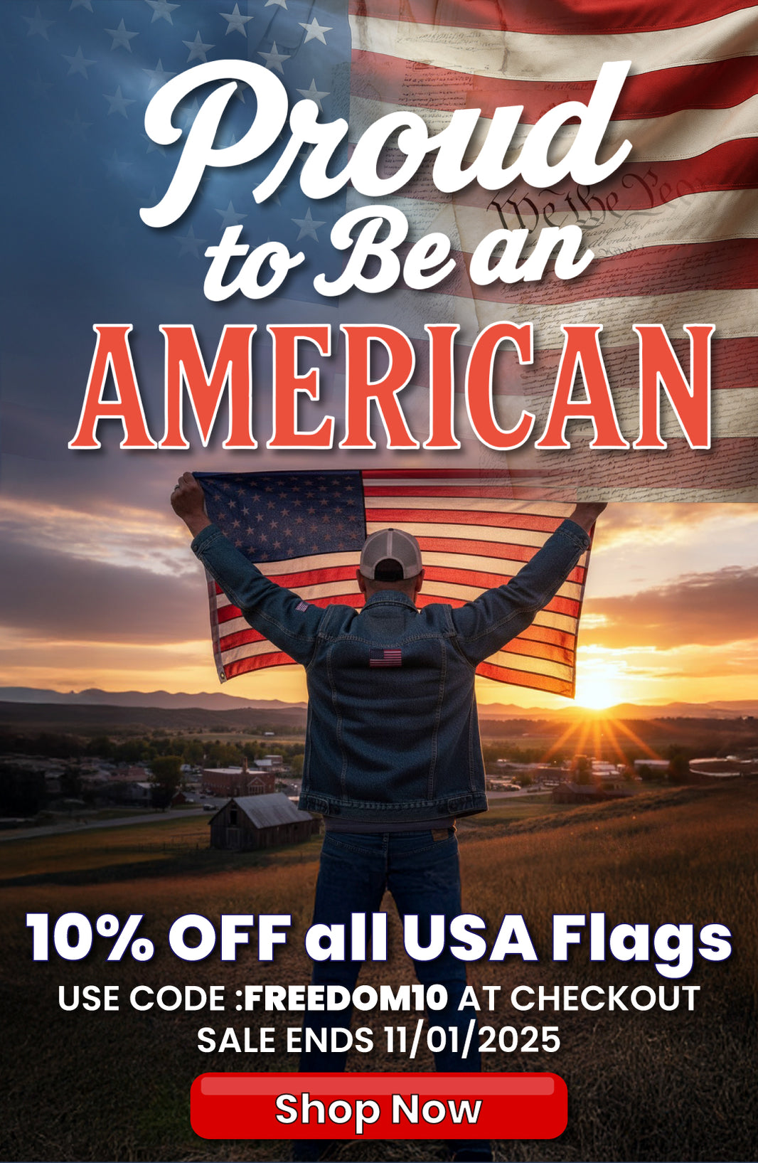 Wholesale Flags & Mini Banners Online | Flags Importer